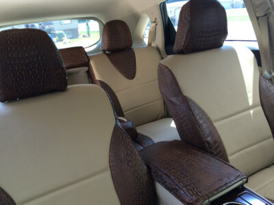 Java Croc | Covers and Camo