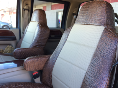 Java Croc | Covers and Camo